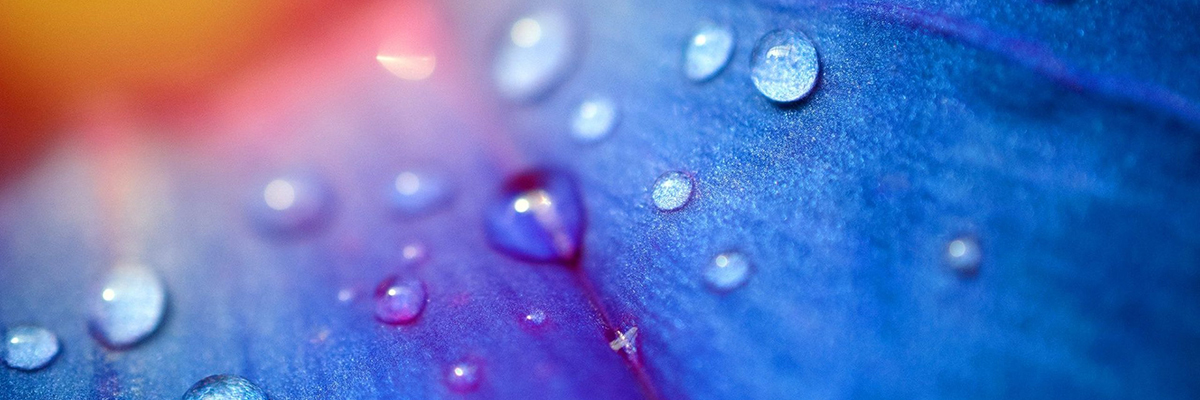 April Bible Reading Calendar Banner – Charlestown Road church of Christ