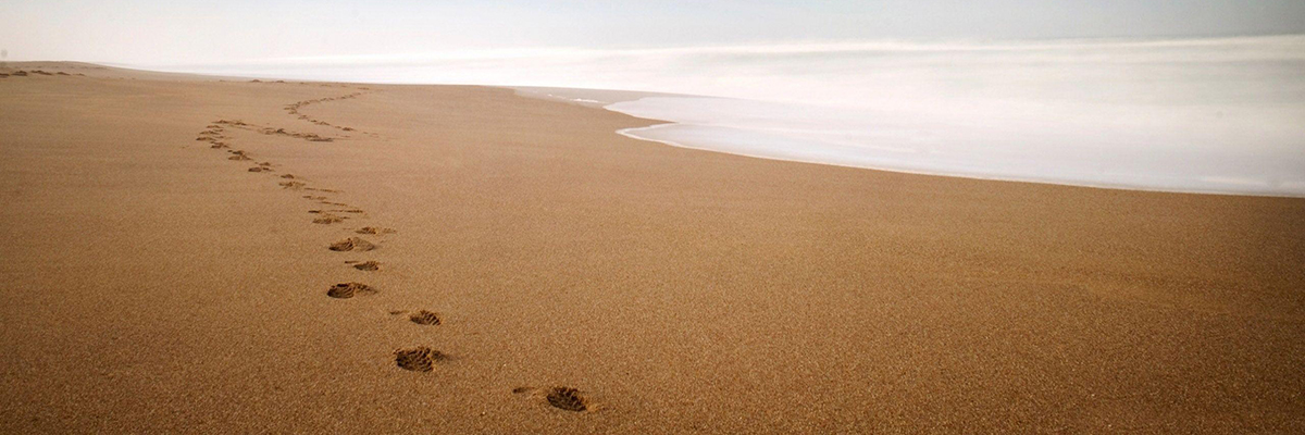 Steps of a Righteous Man Banner – Charlestown Road church of Christ