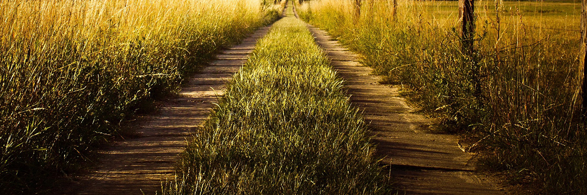 August Bible Reading Banner – Charlestown Road church of Christ
