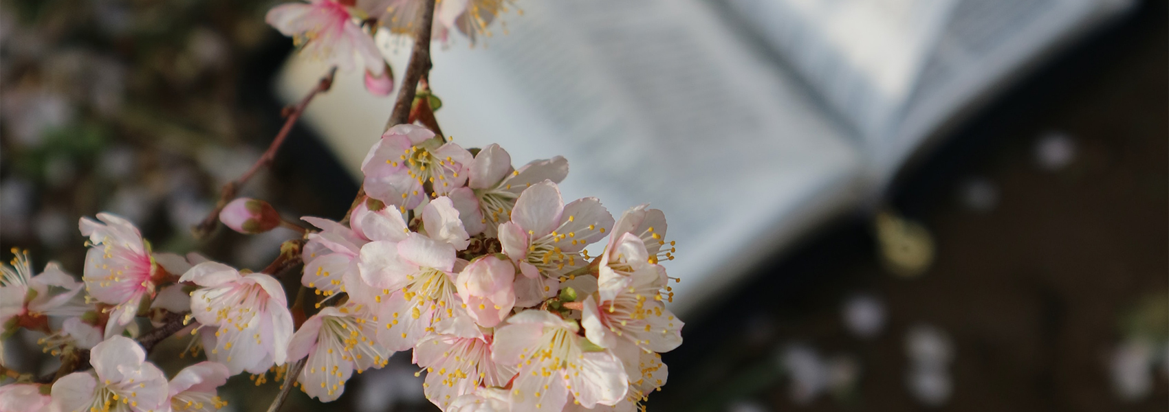 Spring Classes Banner – Charlestown Road church of Christ