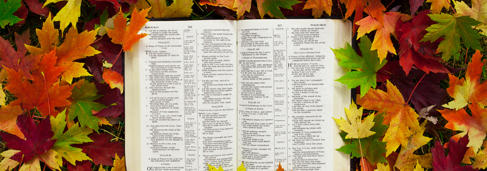 Fall Quarter – Charlestown Road church of Christ